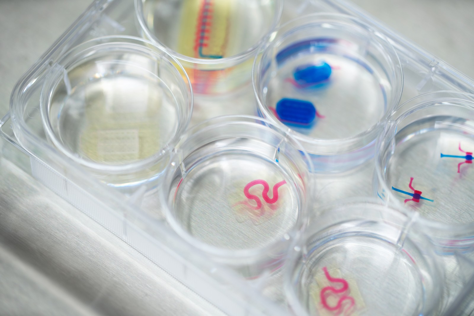 Research - Merck.com