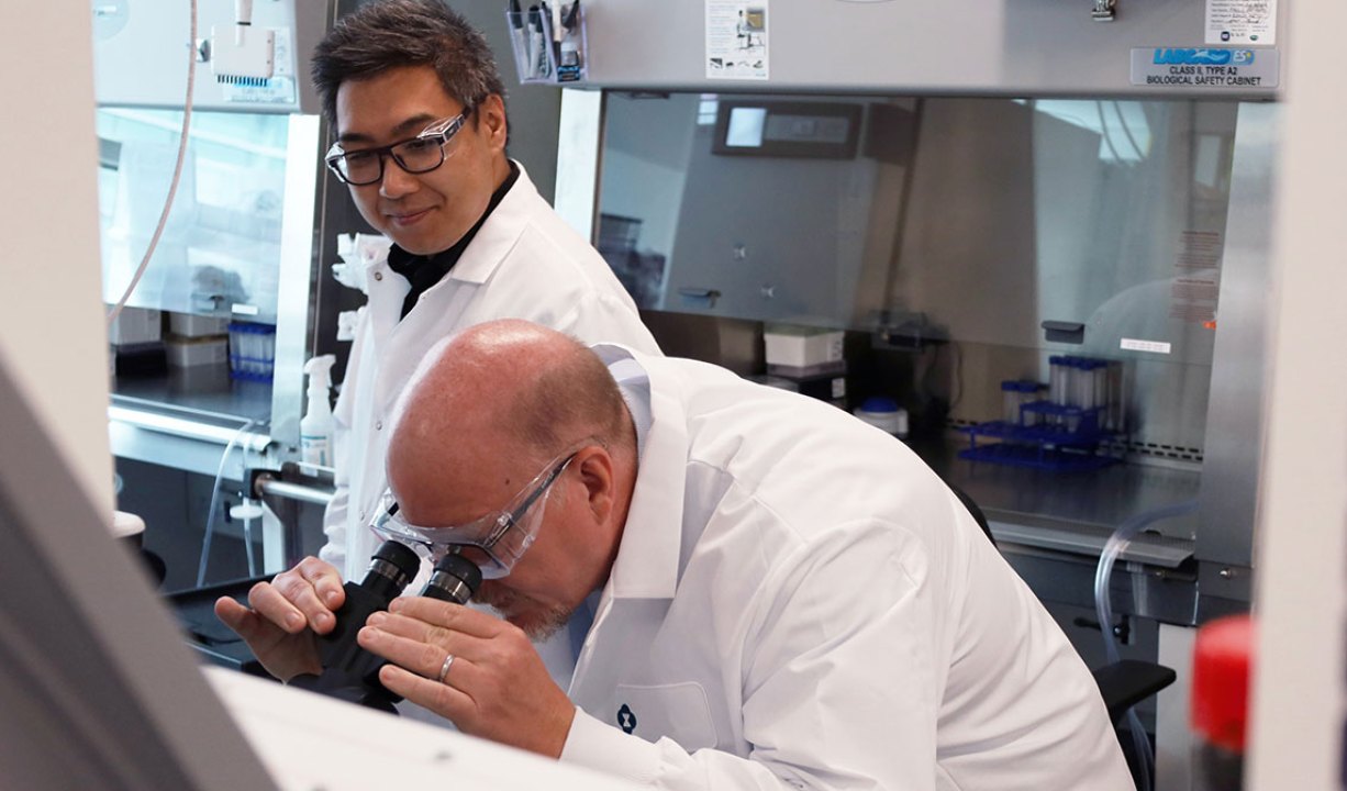 Investor relations - Merck.com