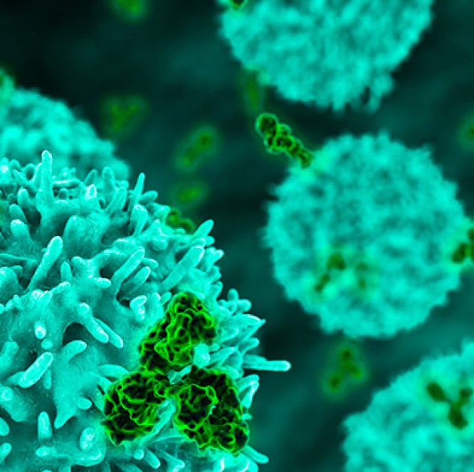 Immunology - Merck.com