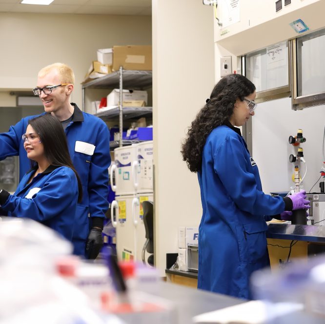 Green chemistry programs and initiatives - Merck.com