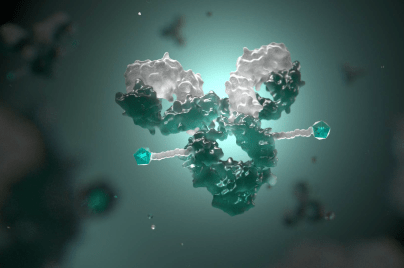 Sean P. Curtis, M.D., M.P.H - Merck.com